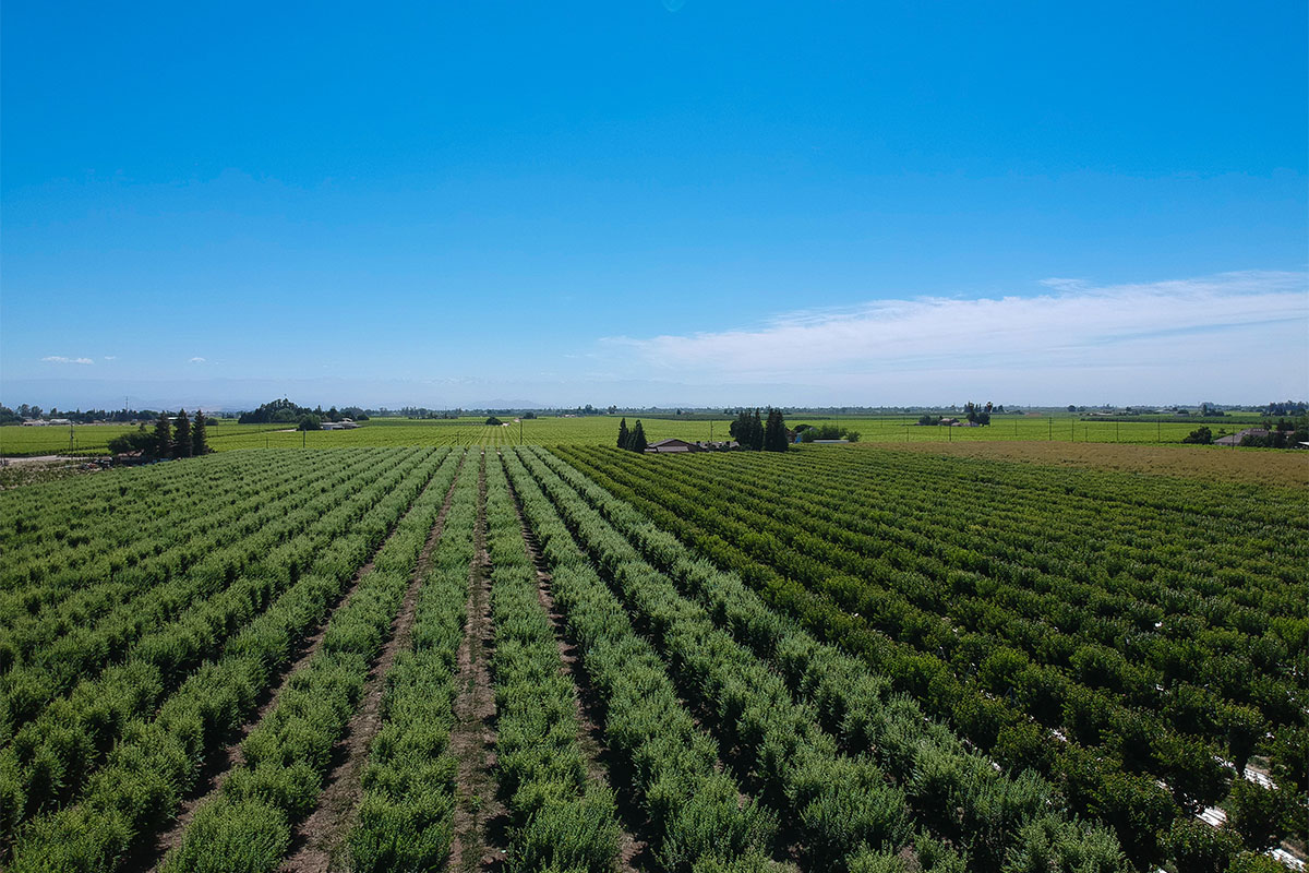 Brands – PureFresh Sales Inc.